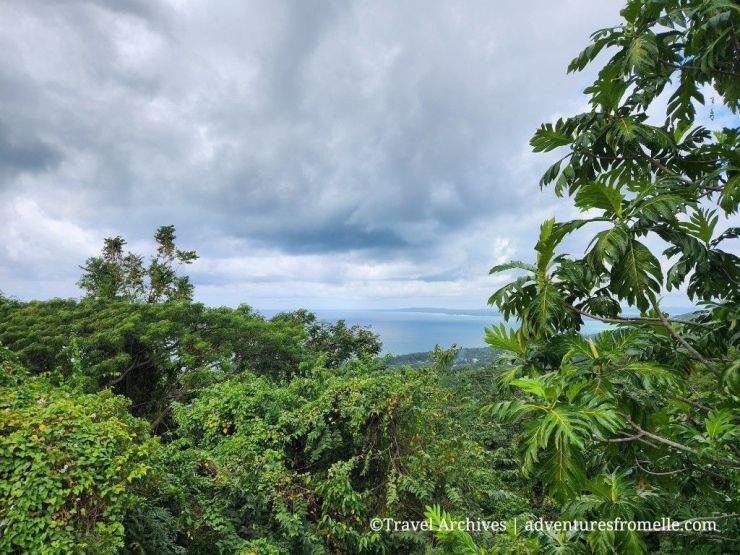 Shafston Great House, Westmoreland – Adventures from Elle