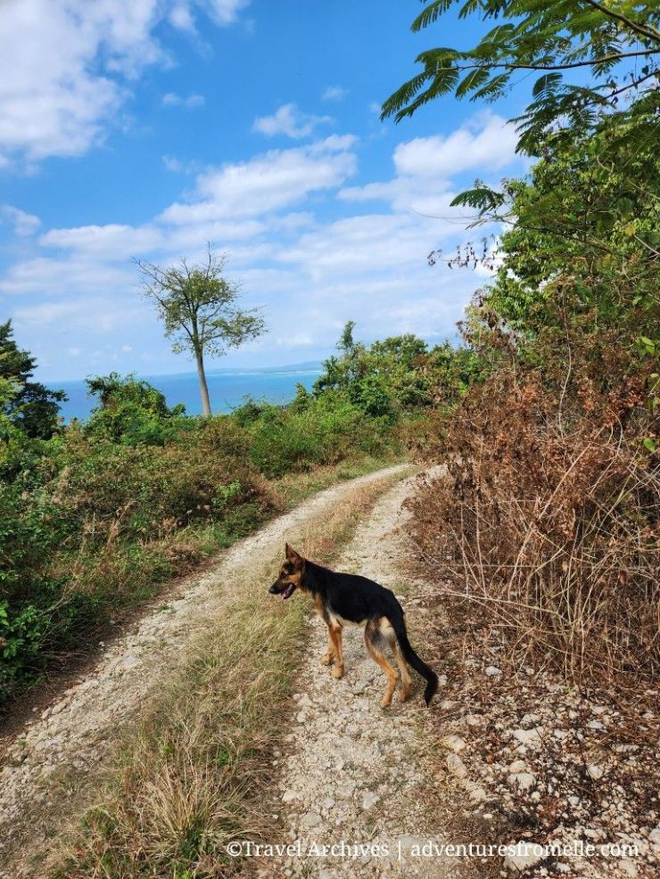 Shafston Great House, Westmoreland – Adventures from Elle