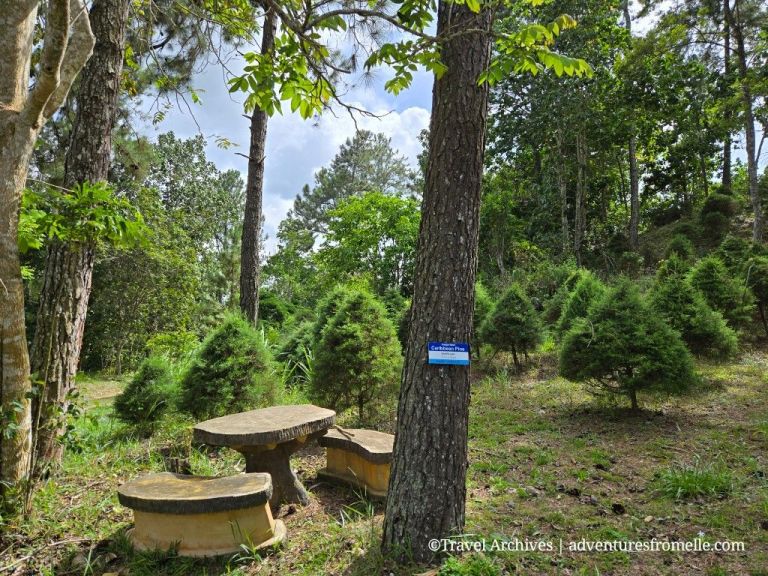 Gourie Forest Reserve: A Hike & Caving Guide – Adventures from Elle