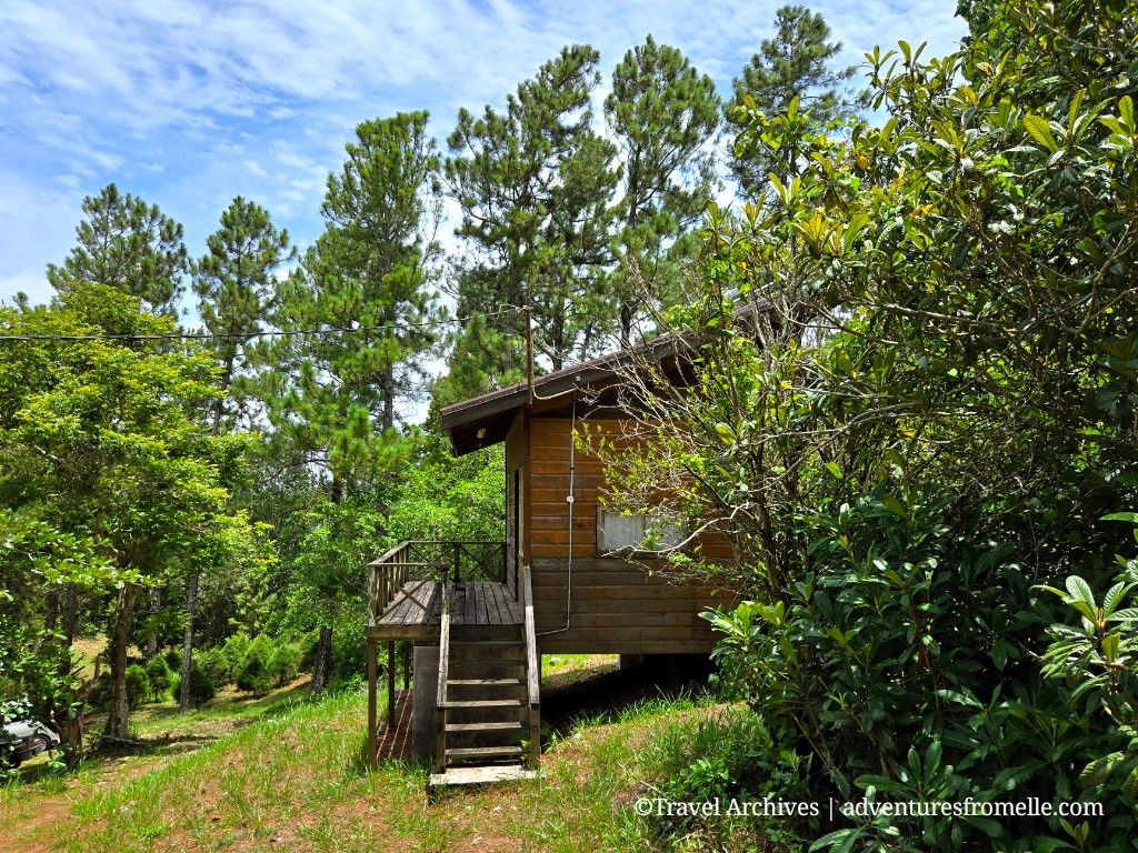 Gourie Forest Reserve: A Hike & Caving Guide – Adventures from Elle